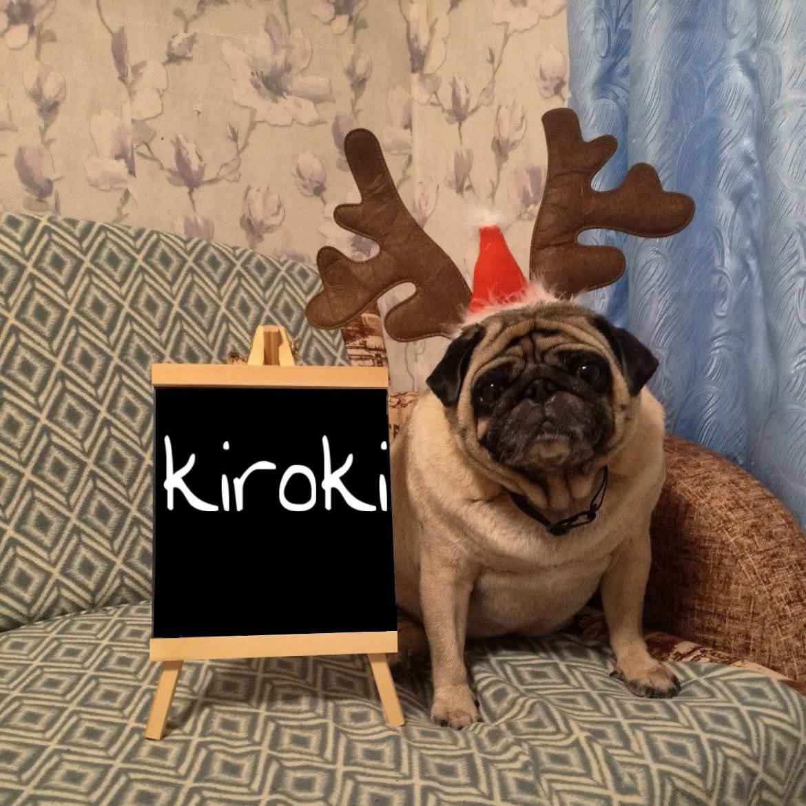 kiroki – Telegram